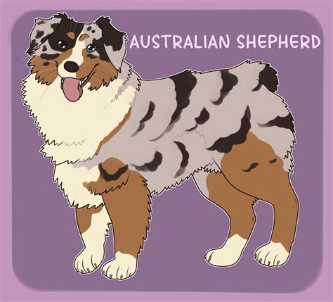 Australian Shepherd By Twilidramonart On Deviantart