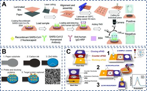 Alternative Paper Based Assay Formats For Anti Sars Cov 2 Antibody Download Scientific Diagram