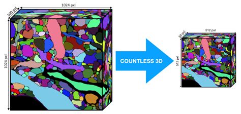 Countless 3d Vectorized 2x Downsampling Of Labeled Volume Images Using Python And Numpy