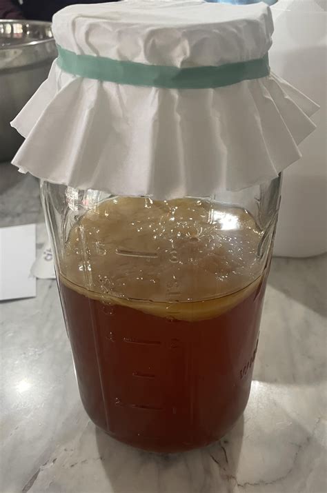 What To Do After Growing A Scoby R Kombucha
