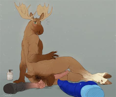 Rule 34 Aaron Caldariequine Anal Anal Masturbation Animal Dildo