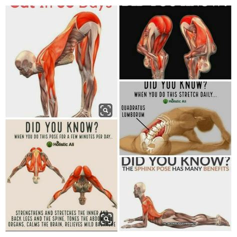 Пин от пользователя Dare Smith на доске Exercise