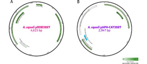 Evaluation Of Amr Associated Genes Within Newly Sequenced Download