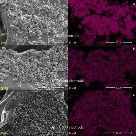 Sem Images And Bi Mapping Distribution At Ni Foam Surface Of Bieg A