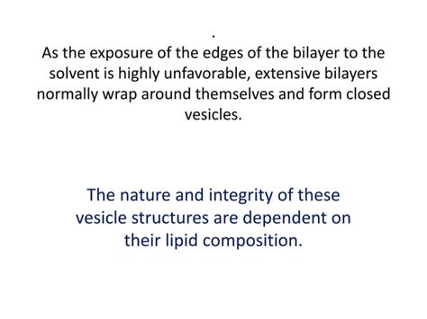 Polymorphic Structures Of Amphiphilic Molecules In Aqueous Solution
