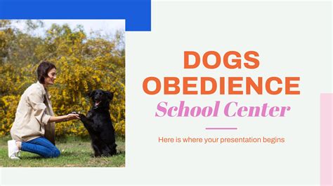 Dog Obedience School Baltimore At William Woodard Blog