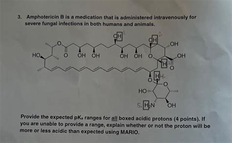 Solved 3 Amphotericin B Is A Medication That Is