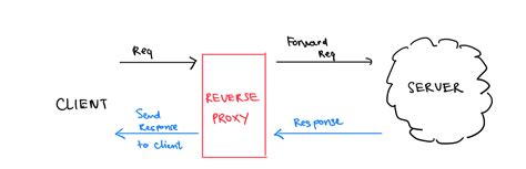 forward proxy vs reverse proxy viblo