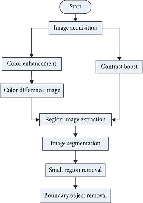 Medical Image Segmentation Process Download Scientific Diagram