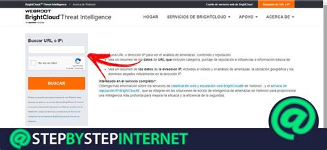 how to analyze a domain or subdomain to protect vulnerabilities on a