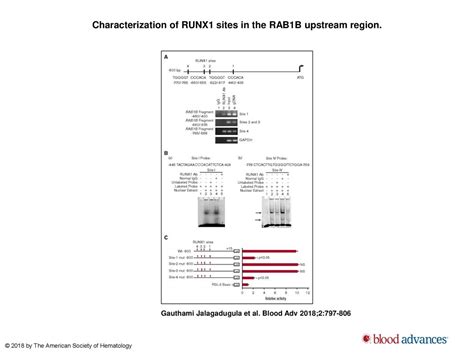 Defective Rab1b Related Megakaryocytic Er To Golgi Transport In Runx1