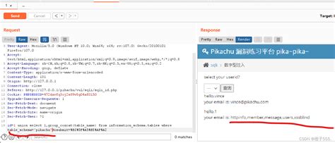 Pikachu Sql Injectsql注入）pikachu Sql注入 Csdn博客