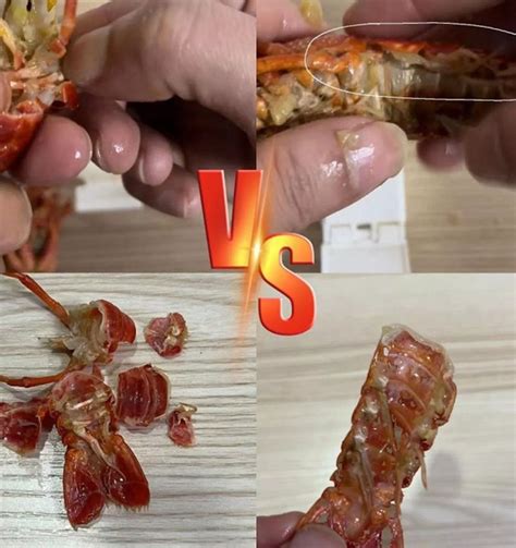 Crayfish Shelling Device Crawfish Shucker Shucker Tool For Shrimps