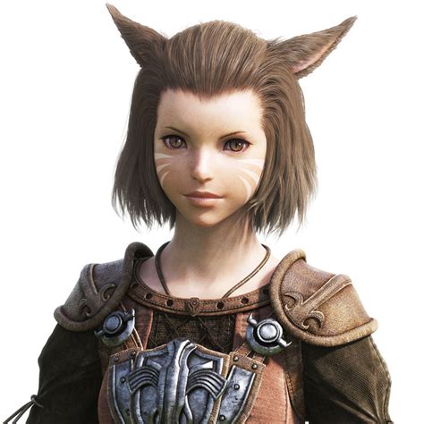 Miqo Te Characters Art Final Fantasy XIV
