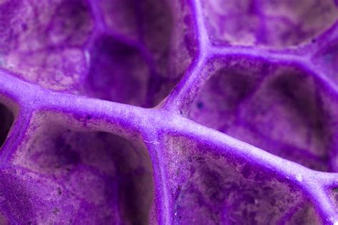 Pov Q1 Earnings Mindshare