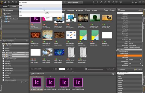 Query Based Searching Evolphin Documentation