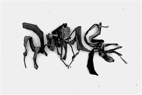 Alexis Vasilikos LŒil De La Photographie Magazine