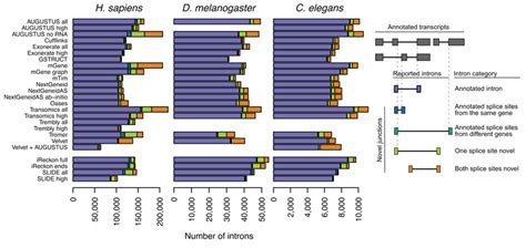 Transcript Assembly Performance A Reference Transcripts With A Download Scientific Diagram