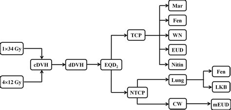 Flow Chart Of The Radiobiological Modeling Cdvh Cumulative Dose Download Scientific Diagram