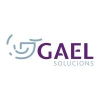 Gael Solucions Linkedin