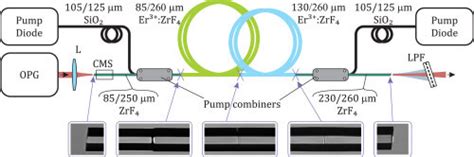 Schematic Of The Amplifier Setup Lpf Longpass Filter Cms Cladding