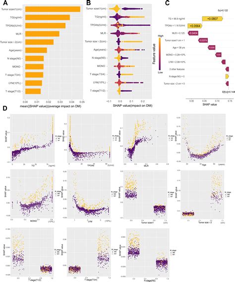 Development And Validation Of An Interpretable Machine Learning Model