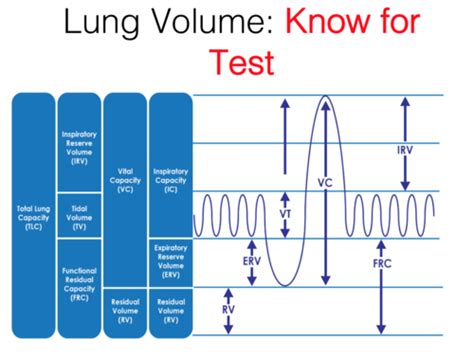 PFT Spirometry Flashcards Quizlet