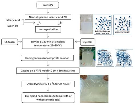 Active Biohybrid Nanocomposite Films Made From Chitosan Zno Nanoparticles And Stearic Acid