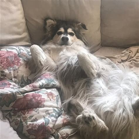 David Nicholson Nicholson0823 On Threads