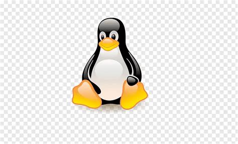 Linux Interview Questions For Beginners In Technology News Information Jobs