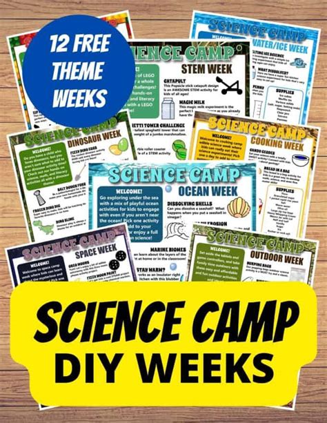 Summer Camp Activities For 3 5 Year Olds Free Math Worksheet Printable