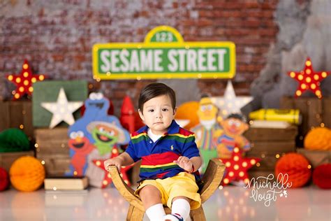 Sesame Street Theme Cake Smash Artofit
