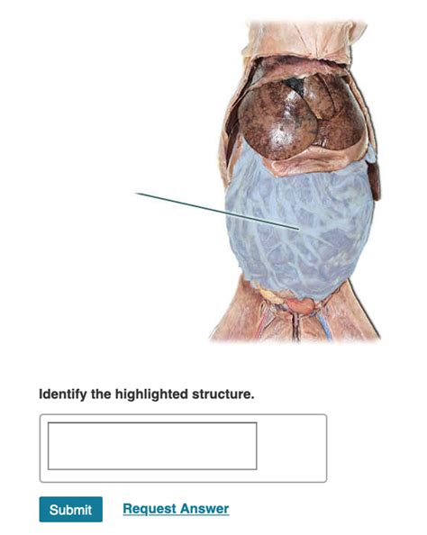 solved identify the highlighted structure submit request
