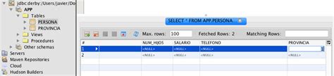 cómo crear una aplicación java para gestión de base de datos parte 6