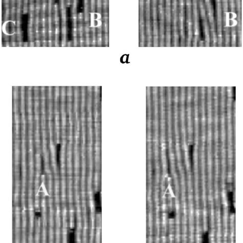 Examples Of Dislocation Behavior Of The Defects Of Fig 2 The Same