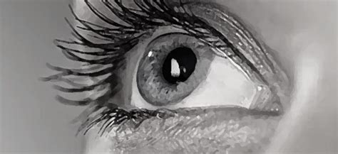 More Than Fifty Shades