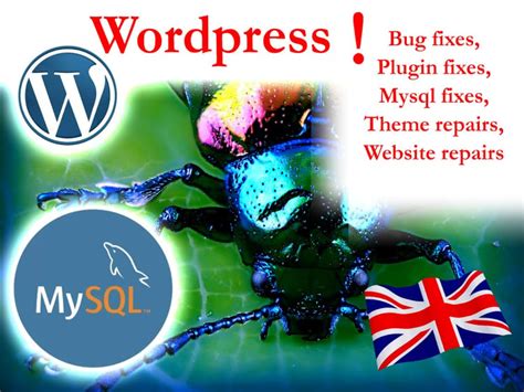 Wordpress Fixes Broken Themes Plugin Conflicts Theme Repair Updates