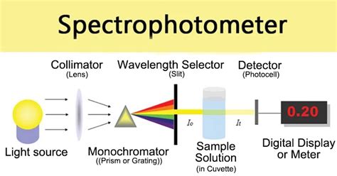 What Is A Spectrophotometer Sisco Com