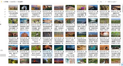 Python爬虫爬取必应每日高清壁纸bing Liucn Csdn博客
