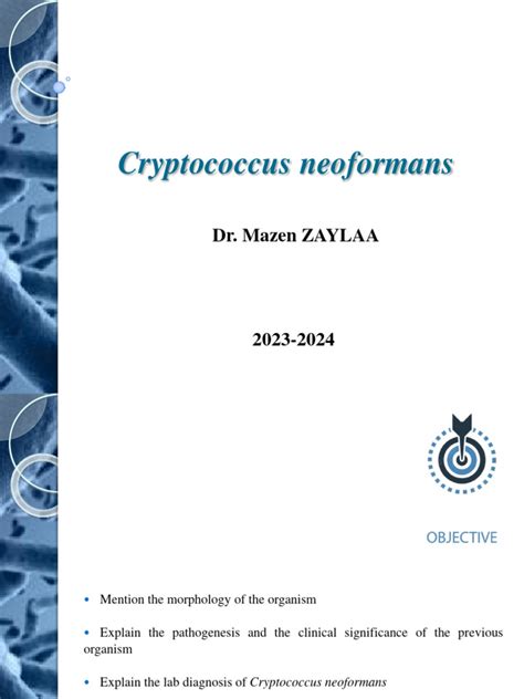 Cryptococcus Neoformans Pdf Fungus Mycology