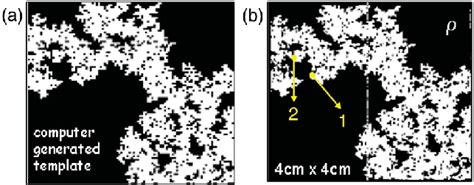 Color A Computer Generated Random Site Percolation Cluster Download Scientific Diagram