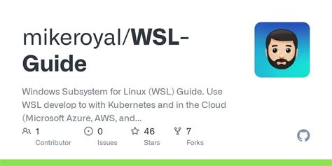 Setting Up Zsh And Oh My Zsh In Wsl 2 Rzsh