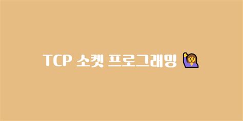 Tcp 소켓 프로그래밍 230512