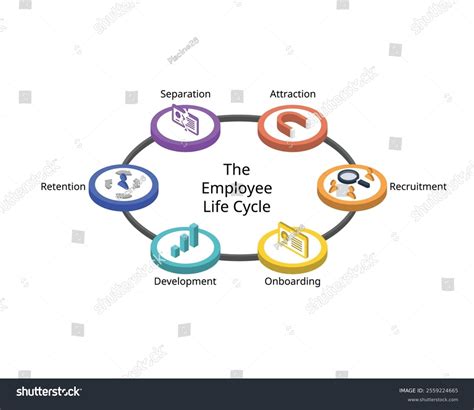 Employee Lifecycle Model Elm Model Designed Stock Vector Royalty Free 2559224665 Shutterstock