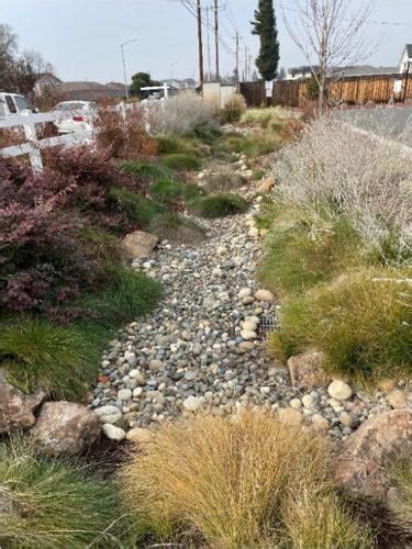 Do You Know How To Spot Low Impact Development Home And Garden