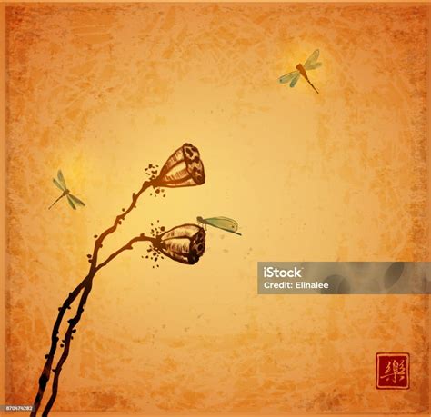 로터스 씨 머리 하 고 빈티지 배경 잠자리입니다 전통적인 동양 잉크 그림 Sumie U죄가 화 상형 문자기쁨 잠자리에 대한 스톡