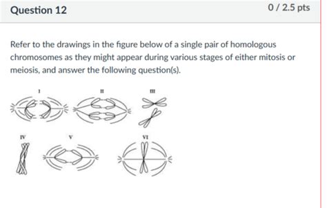 Bio Final Lecture Exam 7 11 Ai Gen Flashcards Quizlet