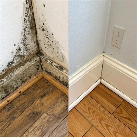 Mold In The Corner Of A Wall Above Laminate Flooring Before Cleaning Stock Illustration
