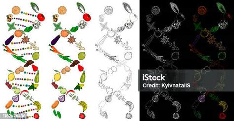 과일과 채소의 건강한 식생활 Dna 건강한 라이프 스타일과 영양의 추상적 인 표현 카페 레스토랑 식당에 대한 벡터 그림 채식 음식 Dna에 대한 스톡 벡터 아트 및 기타