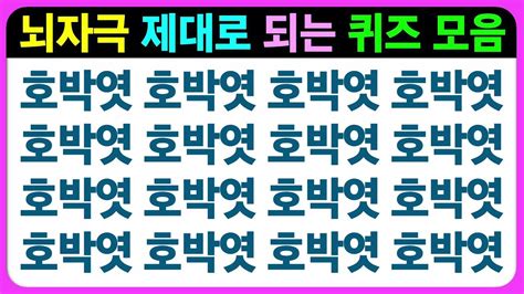 뇌자극에 중점을 두고 연구해서 만든 치매예방 퀴즈 모음 치매예방퀴즈 숨은그림찾기 틀린그림찾기 초성퀴즈 치매예방게임 기억력테스트 다른그림찾기 인지프로그램 인지활동프로그램